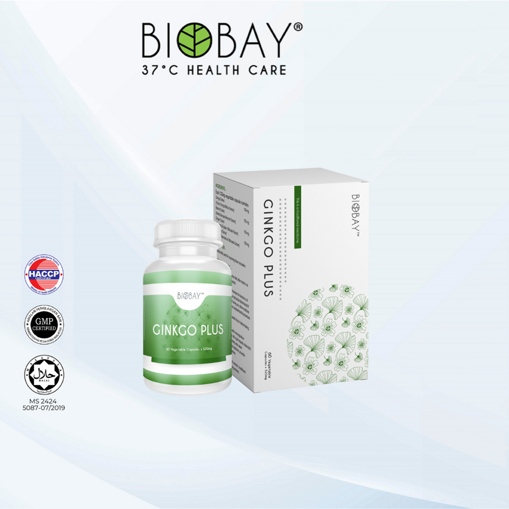 🌟Original🌟BIOBAY Ginkgo Plus 520mg Ginkgo Biloba Bacopa Ginger Rosemary ...