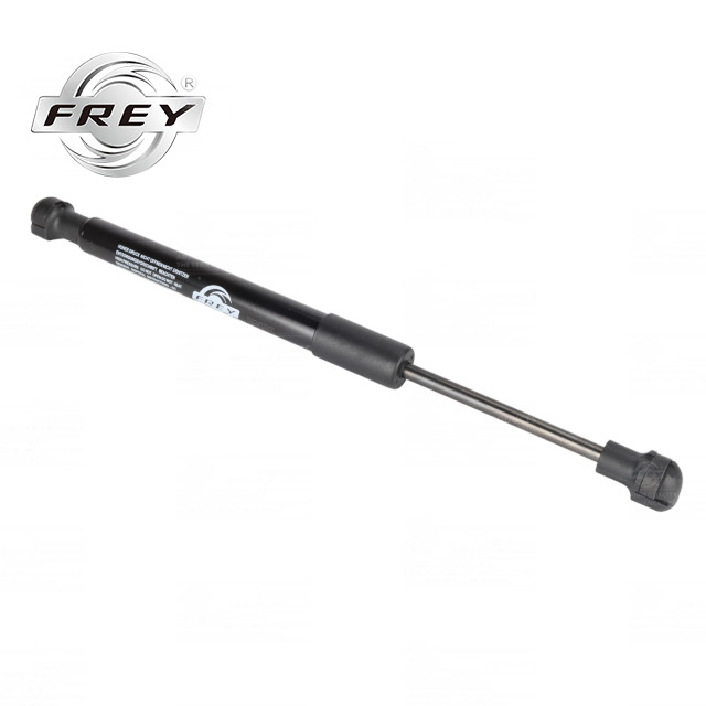 Frey Auto Parts for Mercedes Benz W221 Car Tailgate Gas Spring OEM ...