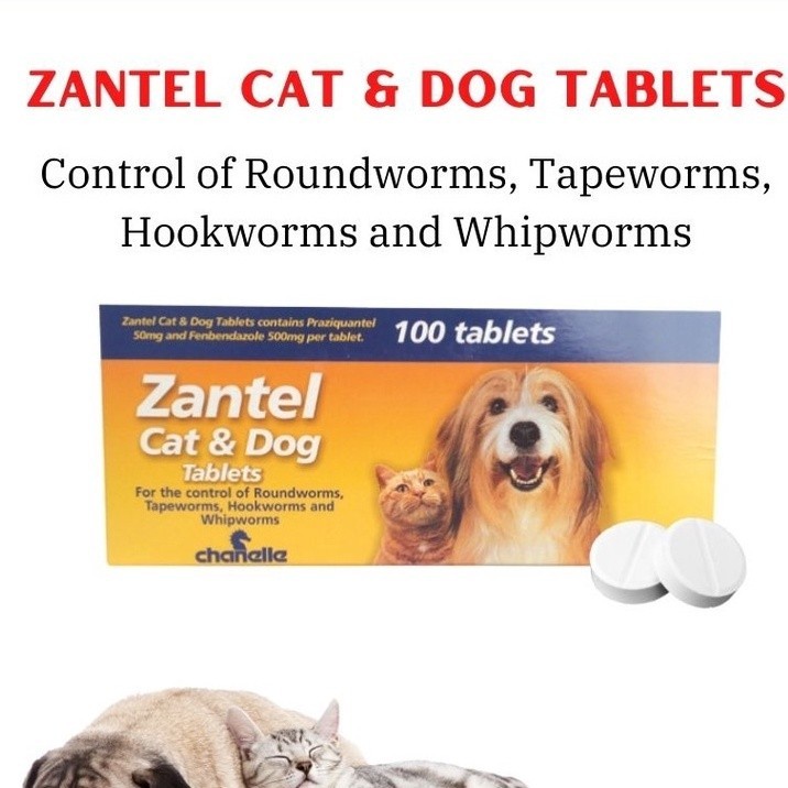 (1 Tablet) Zantel Deworm Tablet Cats & Dogs / Ubat Cacing Kucing ...