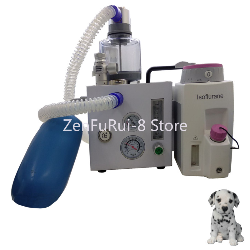 Efficient Veterinary Anesthesia Oxygen Flow Rate Pet Inhalation ...