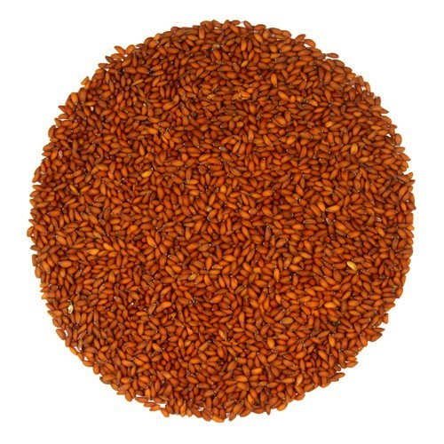 Saliya Seed / Saaliya Vithai / Biji Halim / Biji Selasih Merah | Raw ...