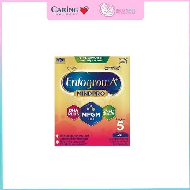 ENFAGROW A+ MINDPRO 2FL STEP 5 ORIGINAL (580G) | Shopee Malaysia