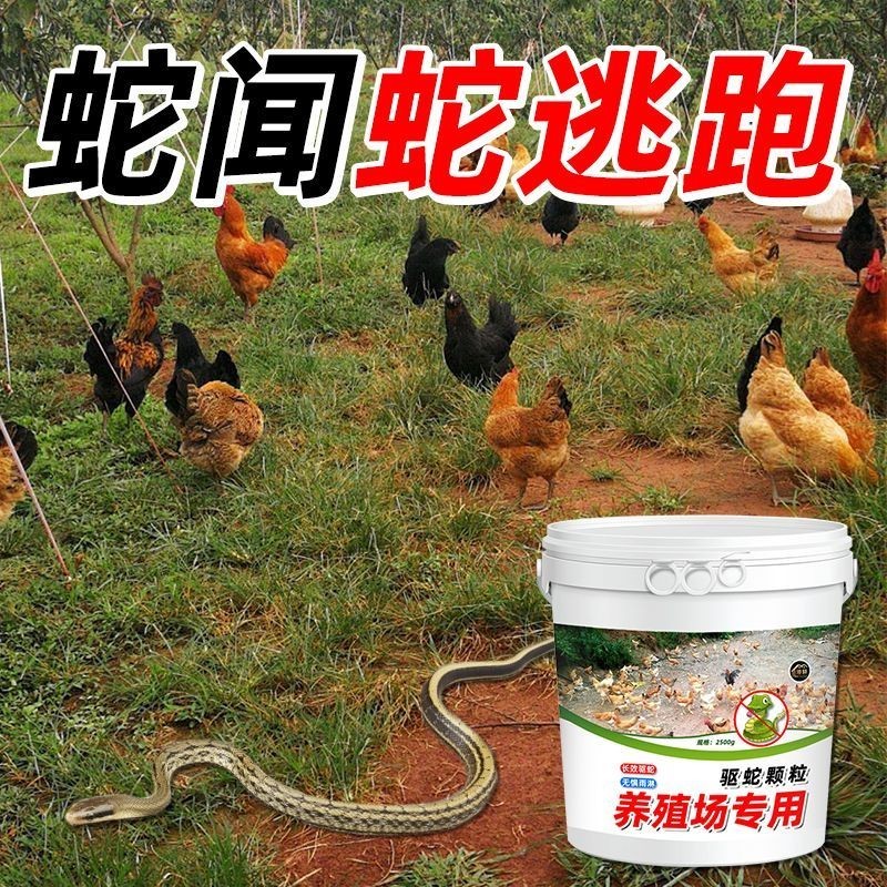 Farm Special Snake Repellent Particles Red Orpiment Snake-Driving ...