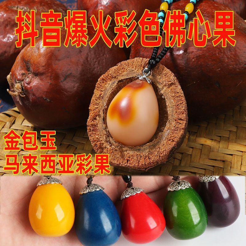 Bodhi Shakya Bodhi Original Fruit Buddha Heart Fruit Gold Wrapped Jade ...
