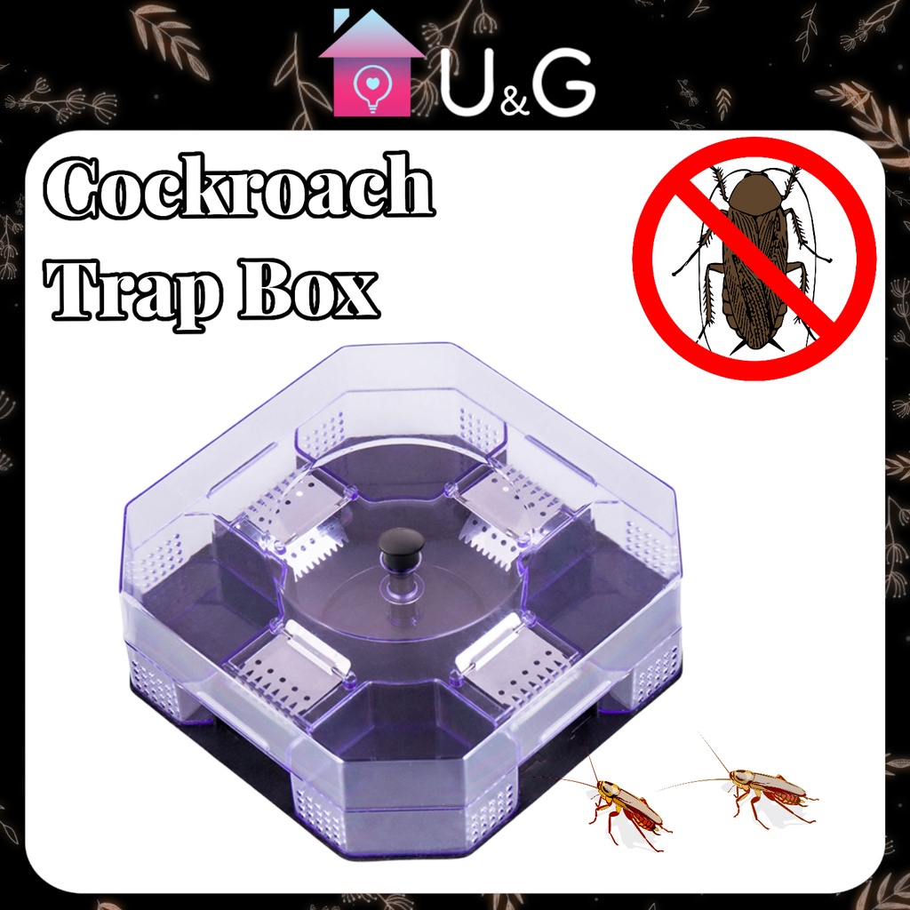 UG Cockroach Trap Box Non-Toxic Insect Killer Catcher Perangkap ...