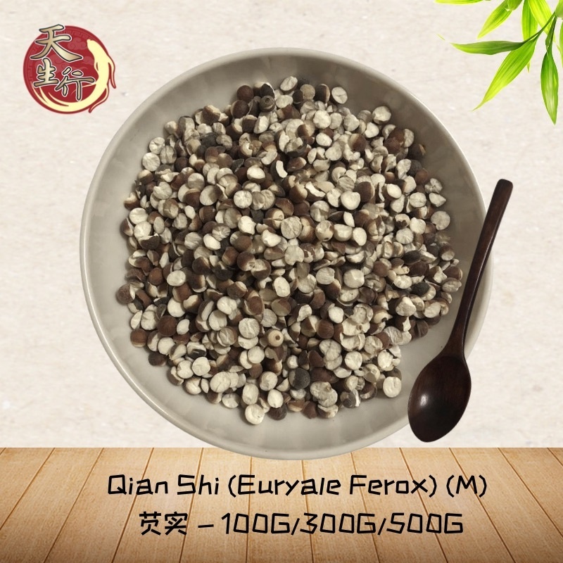 【Tien Sung】Qian Shi (Euryale Ferox) (M) 芡实 - 100G/300G/500G | Shopee ...
