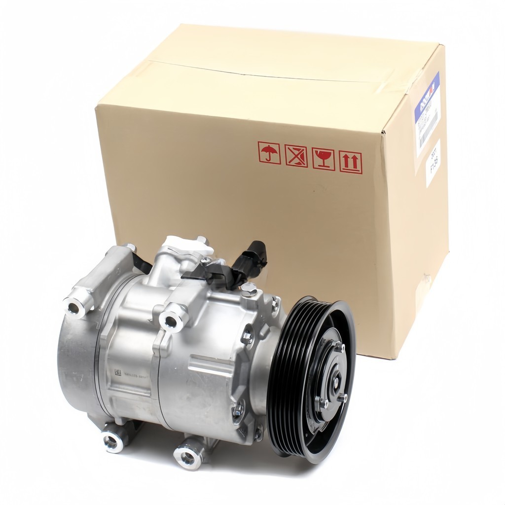 RGFROST New 12V Car A/C Compressor 97701-2M600 for Fiat 1-Year Warranty ...