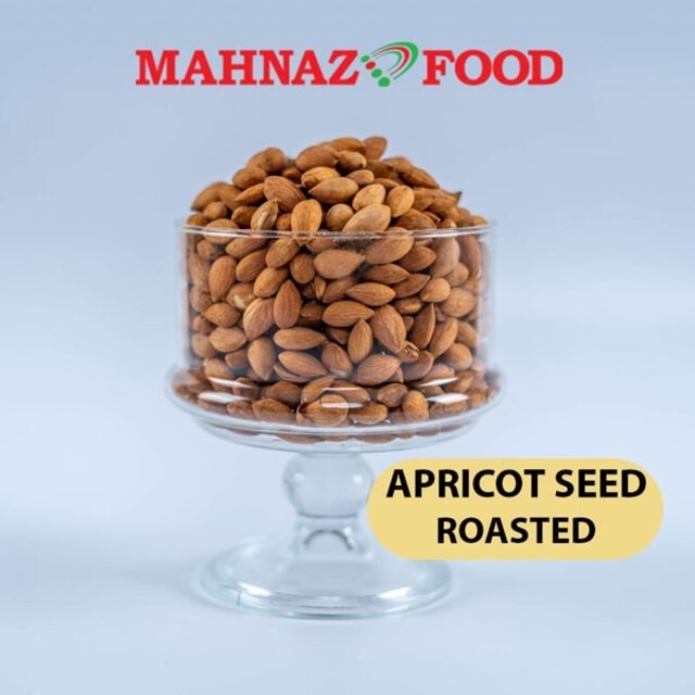 MAHNAZ FOOD Apricot Seed Roasted (200g) | Shopee Malaysia