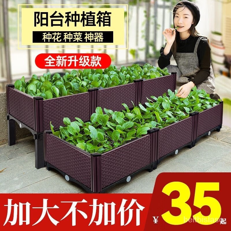 HY-6/Carpenter's Garden Planting Box Balcony Vegetable Planting Box ...