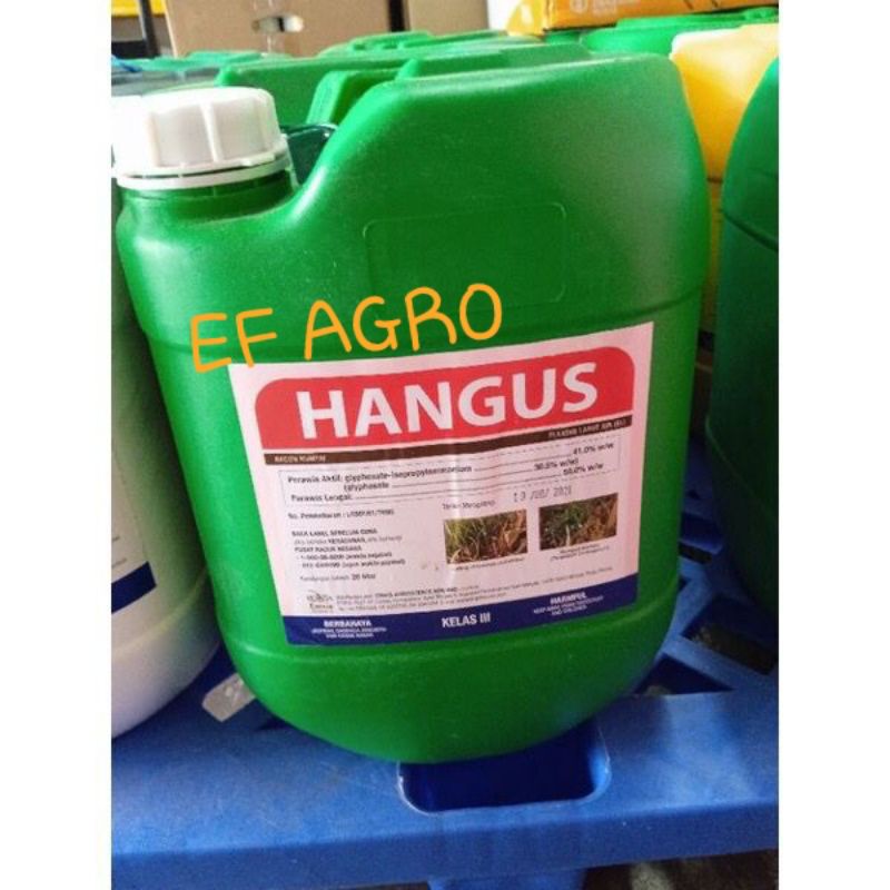 20L HANGUS RACUN RUMPAI GLYPHOSATE 41.W% READY STOCKS!! | Shopee Malaysia