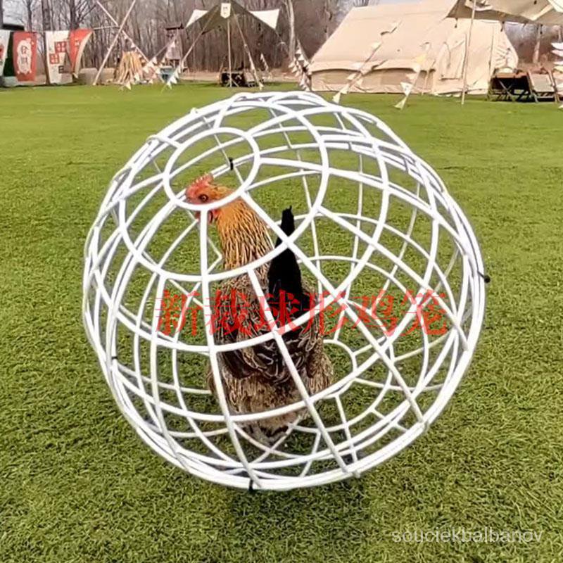 Get 7% coupon+gift】Spherical Chicken Coop round Cage Cute Pet Rolling ...