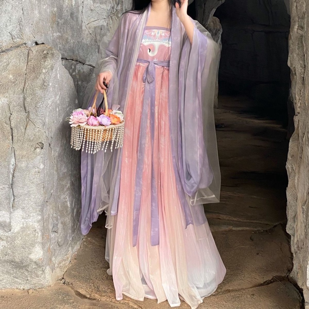 Chinese Style Hanfu Skirt Suit Women l Hanfu Set Long Dress Female Big ...