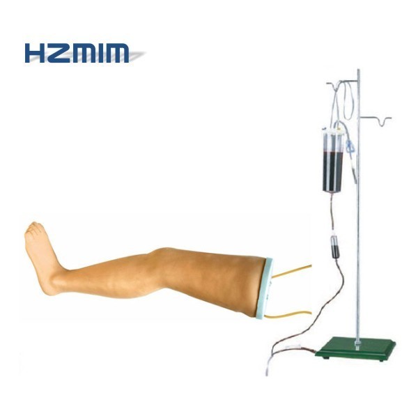 venipuncture training leg, lower limb model, Leg intravenous ...