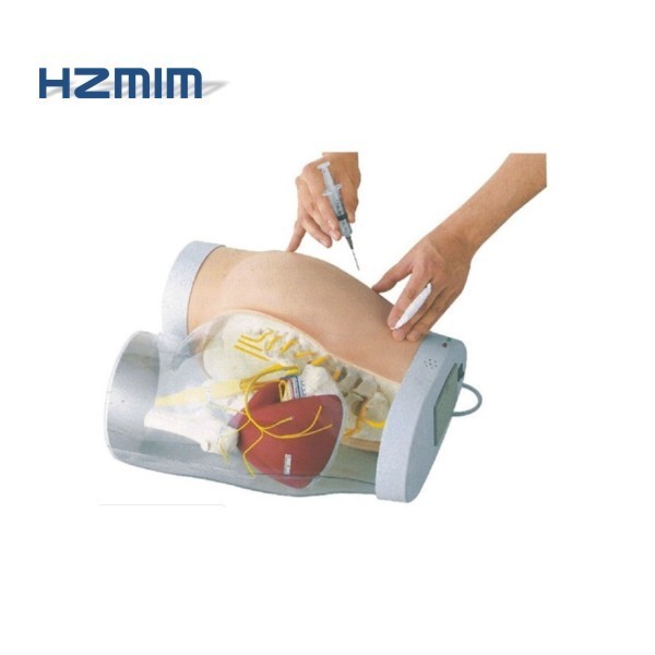 Urethral Catheterization/intubation set training simulator, Urethral ...