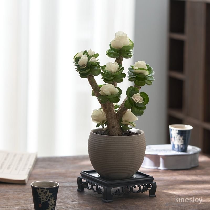 Office Pot Easy to Keep Living Room Interior Desktop Green Plant Plant ...