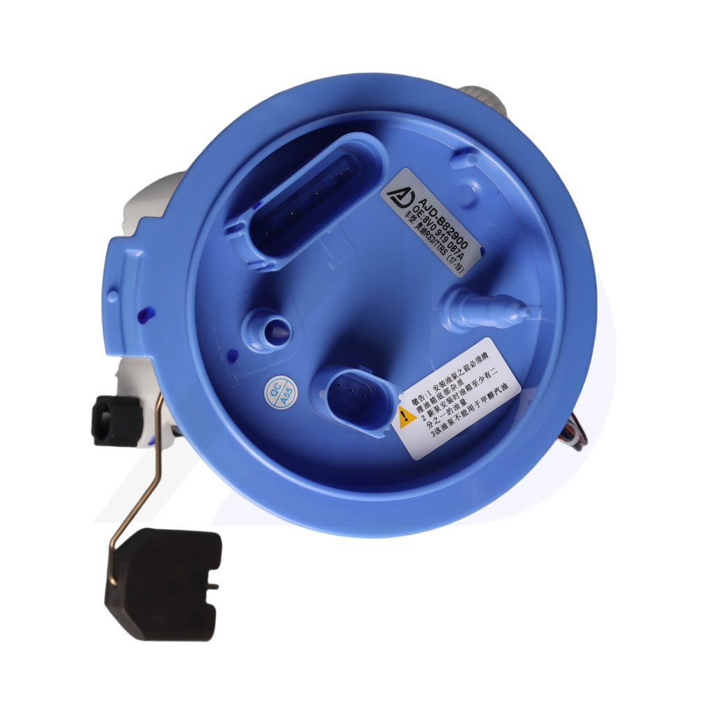 OEM 8V0919087A Fuel Pump Assembly For Audi RS3/TTRS(AJD-B82900 ...