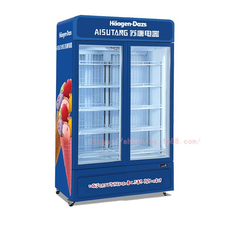 HY-6/Sutang Frozen to Keep Fresh Frozen round Ice Cream Commercial ...