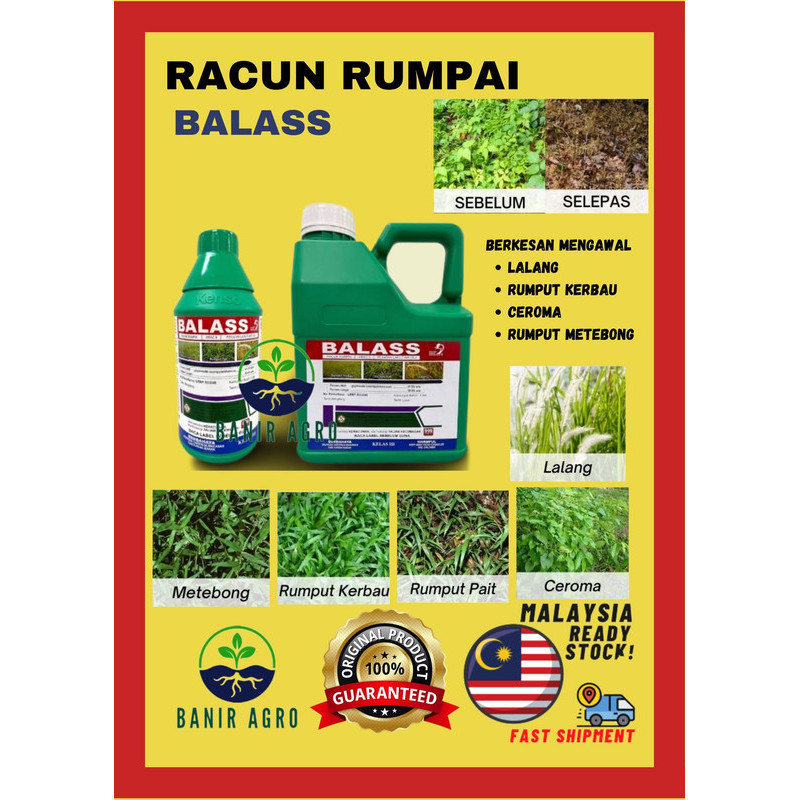 Balass Herbicide 4 Liter Racun Rumput Serap Racun Rumput Tahan Lama ...