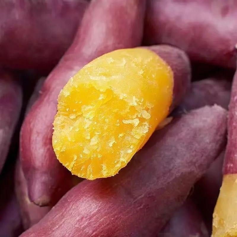 [CHEAPEST] IMPORTED JAPANESE SWEET POTATO , CAMERON PEARL WHITE CORN ...