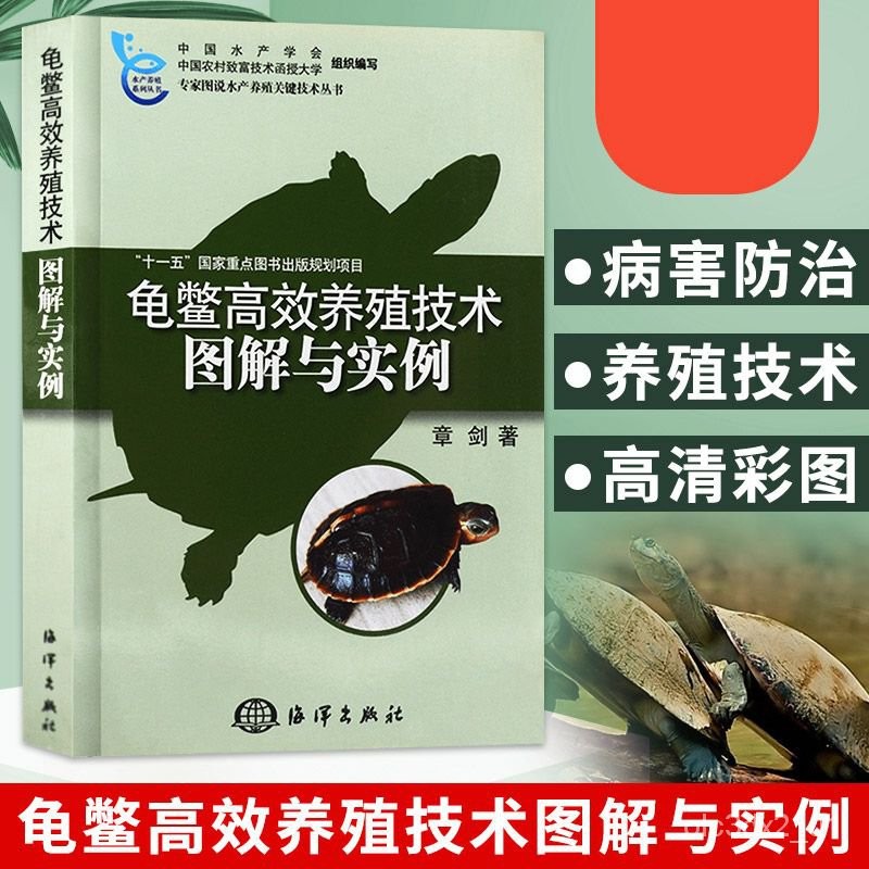 （Spot Goods）Testudinate Diagram and Examples of Efficient Breeding ...
