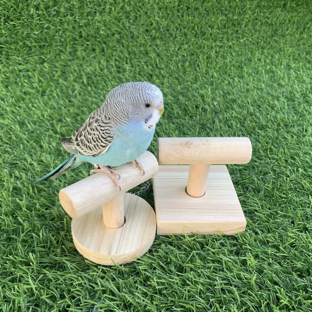 Wooden Small Bird Stand Perch Pole Outing Bird Walking Hand-Holding ...