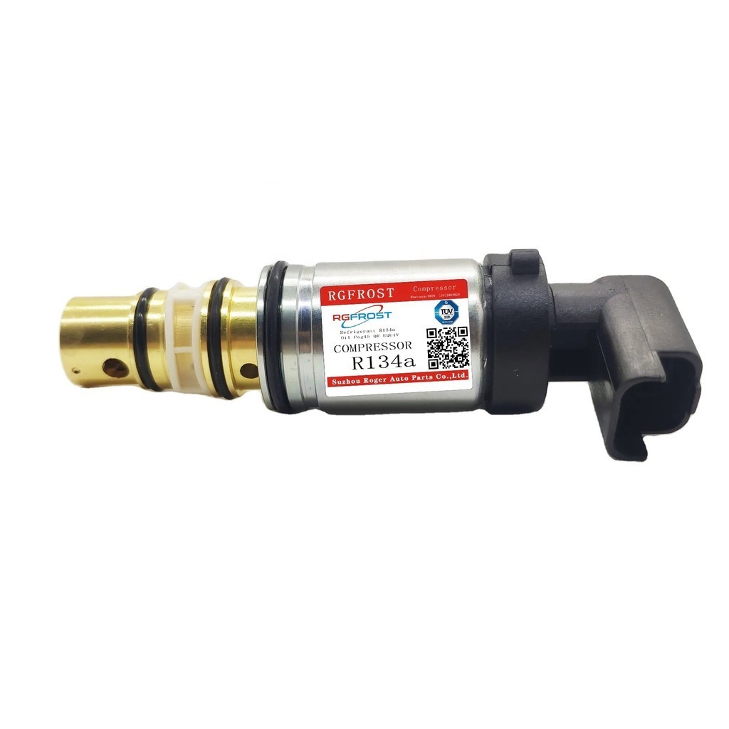 RGFROST Auto AC Compressor Valve 24V Solenoid for Aerosol Cans Airtac ...