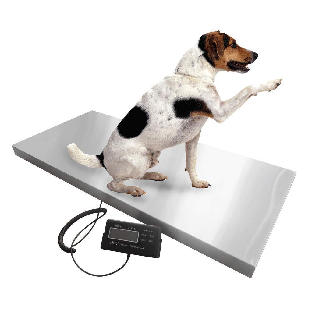 HY& Large Console Postal Scale Stainless Steel Pet Scale Animal ...
