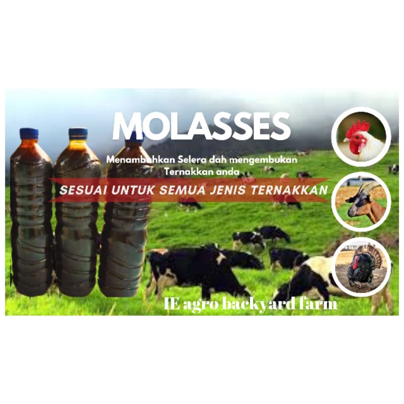 MOLASSES GULA TEBU ASLI | Shopee Malaysia