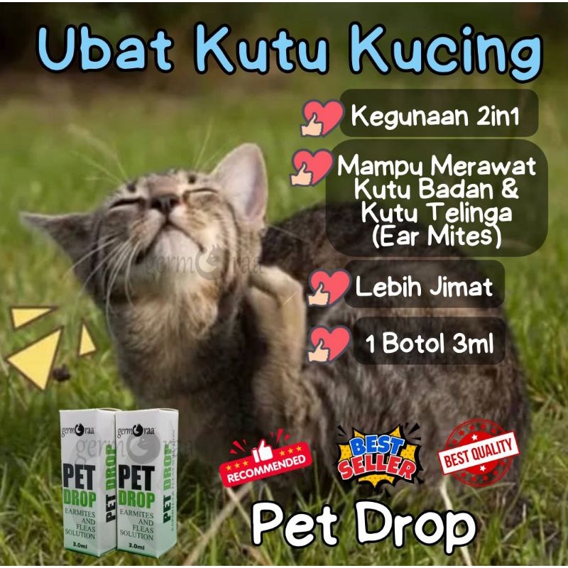 Ubat Kutu Kucing Berkesan Rawat Ear mites Fleas Lice Tick in Cats Ubat ...