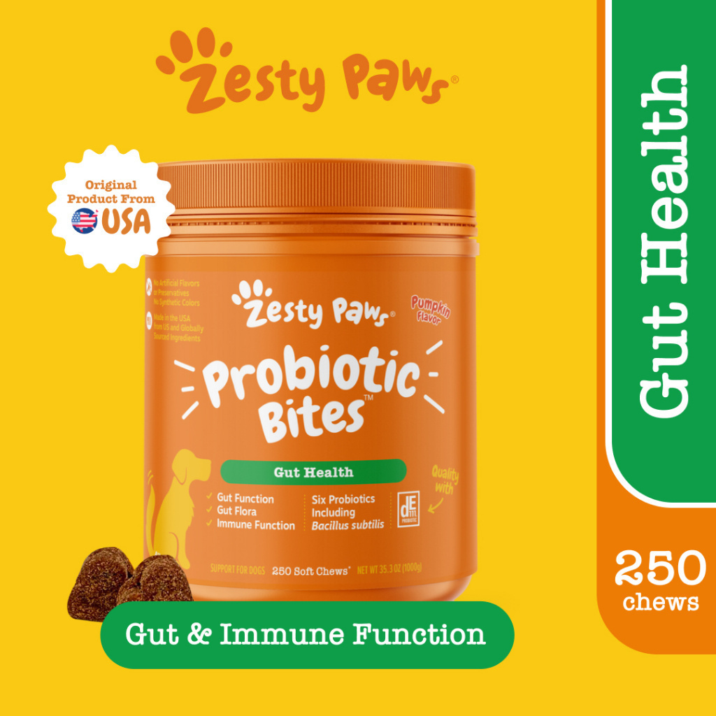 Zesty Paws Probiotic Bites for Dogs Gut Health [Pumpkin Flavor] (250 ...