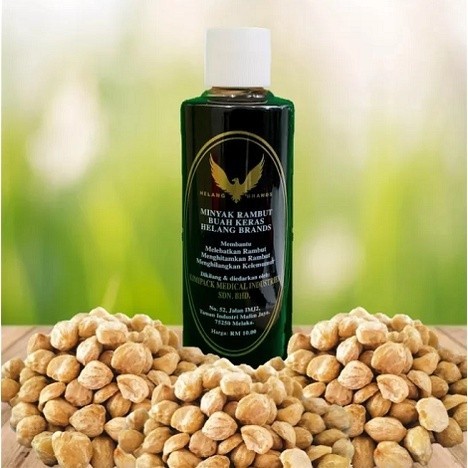 Minyak Rambut Buah Keras Hair Oil (85ml) | Shopee Malaysia