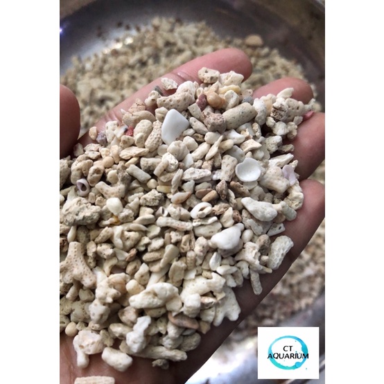[READY STOCK] Coral Sand Pack(150g ,250g,500g) | Shopee Malaysia