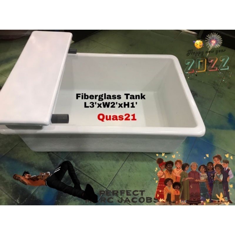 Fiberglass Tank L3'xW2'xH1' with Filter Box AF156(2feet)-White Color ...