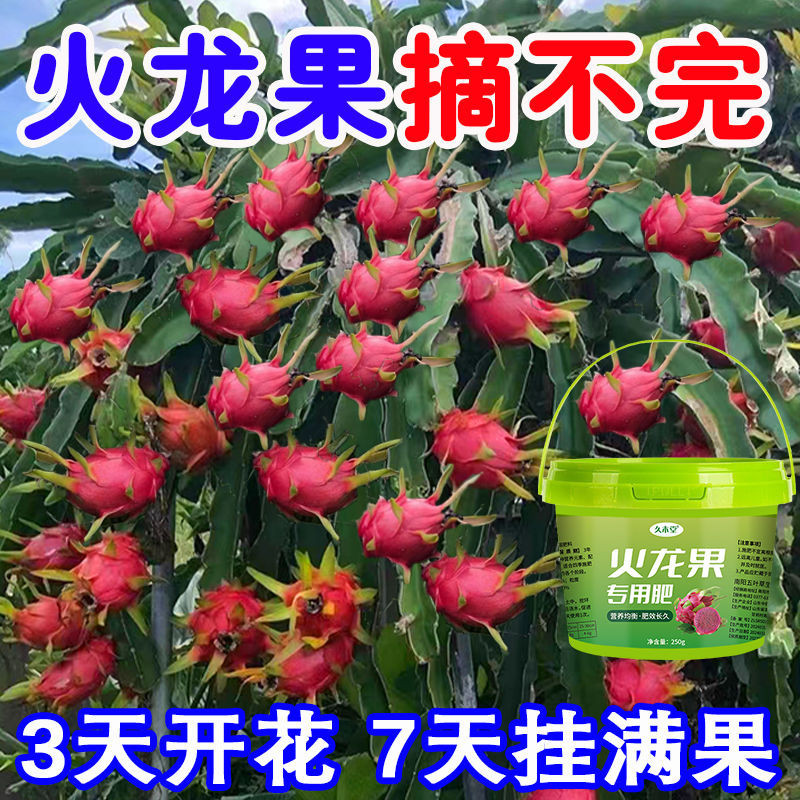 Dragon Fruit Special Fertilizer For Germination Rooting Redness ...