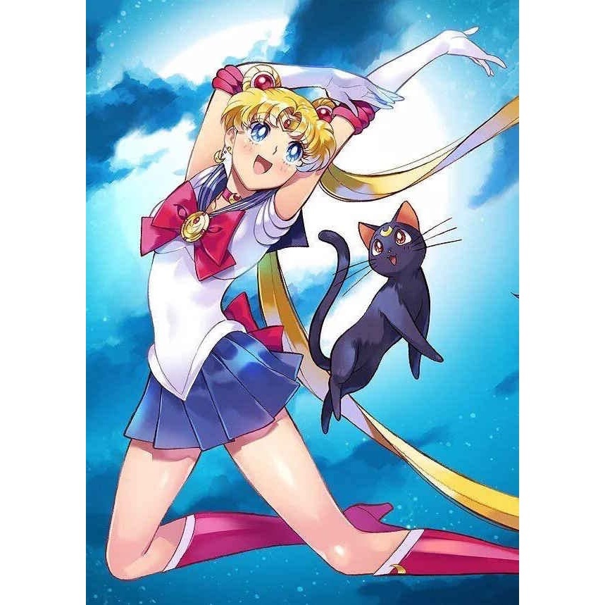 Sailor Moon MEON MEMORIES/H & K.FACTORY Kagawa Kagawa Animeter ...