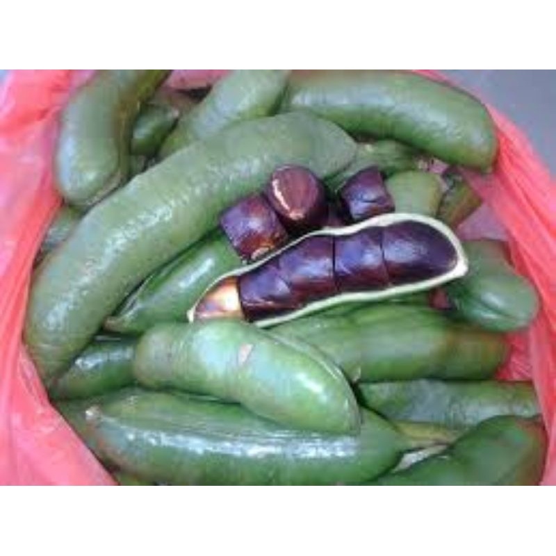 1kg Buah Kerdas / 1kg Buah Genuak | Shopee Malaysia
