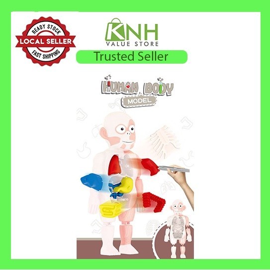 DIY Science Human Body Parts Model Organ Assembly Toys | Shopee Malaysia