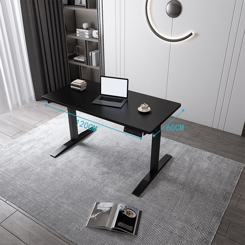 Standing and Adjustable Electric Lifting Table for Household Use ...