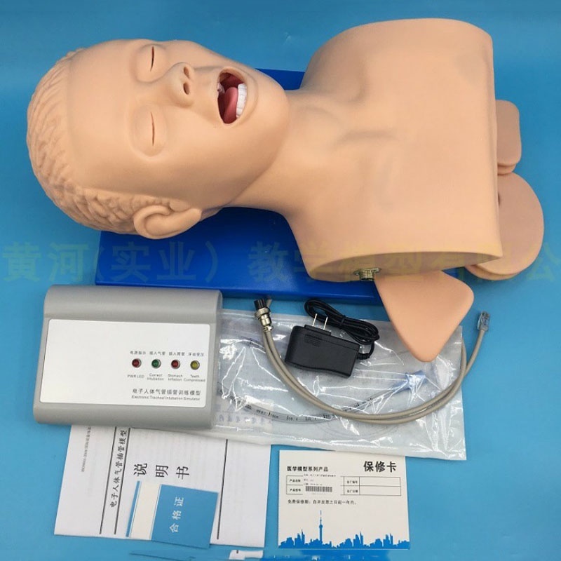 Intubation human body model learning teaching model airway management ...