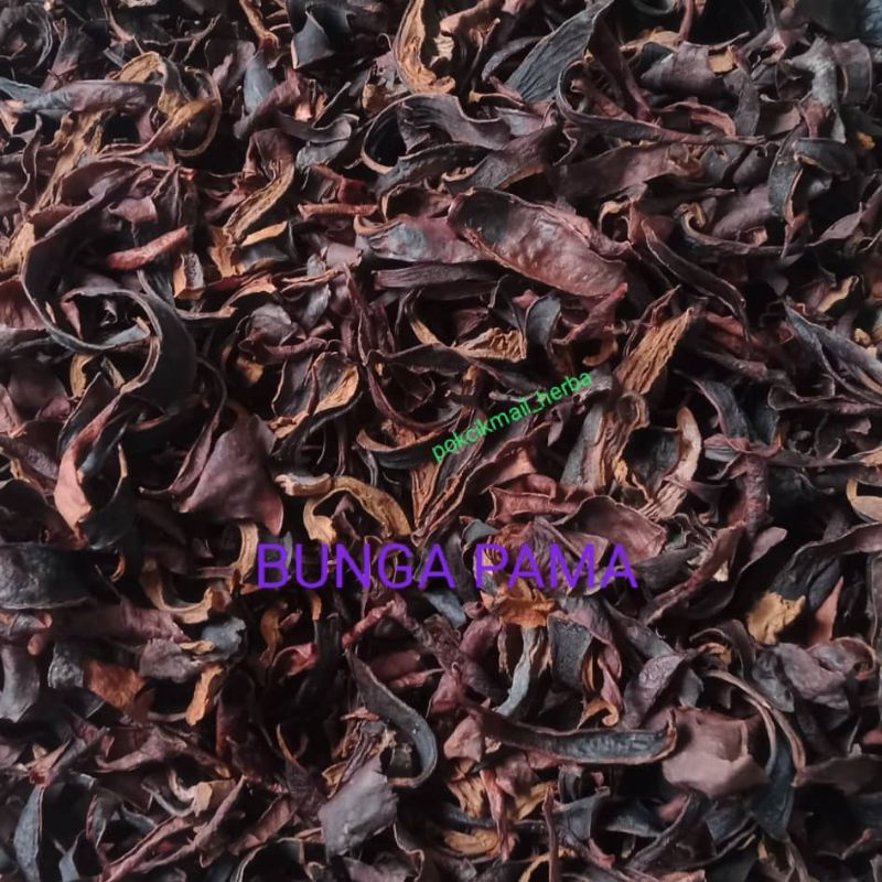 BUNGA PAKMA 💯 HERBA/AKAR KAYU ASLI(untuk kesihatan wanita) | Shopee ...
