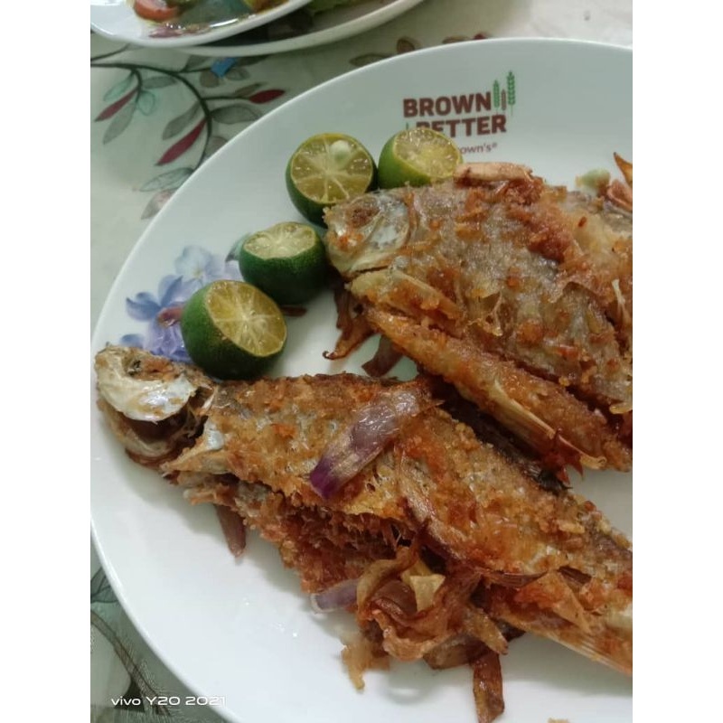 IKAN PEKASAM @ WADIK SUNGAI KAHANG JOHOR 300gram | Shopee Malaysia