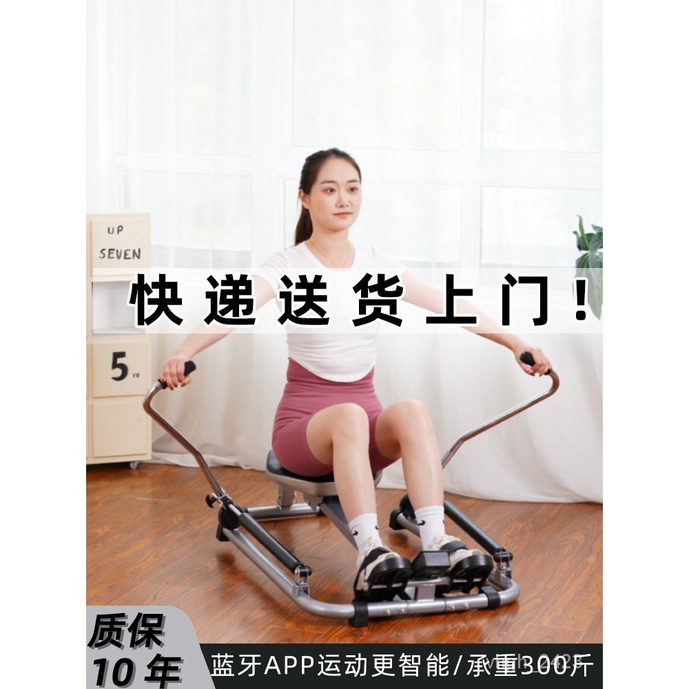 HY-6/Double Paddle Rowing Machine Household Mute Hydraulic Rowing ...
