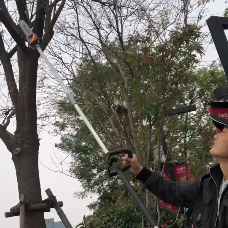Telescopic Petrol Pruning Tree Branch Cutting 2 Stroke Gasoline Pole ...