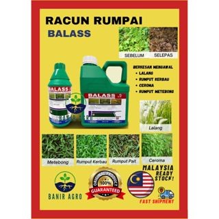 Balass Herbicide 4 Liter Racun Rumput Serap Racun Rumput Tahan Lama ...
