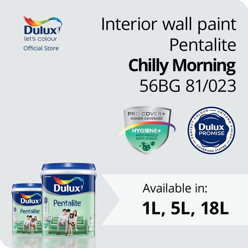 Dulux Pentalite Interior Wall Paint - Chilly Morning 56BG 81/023 ...