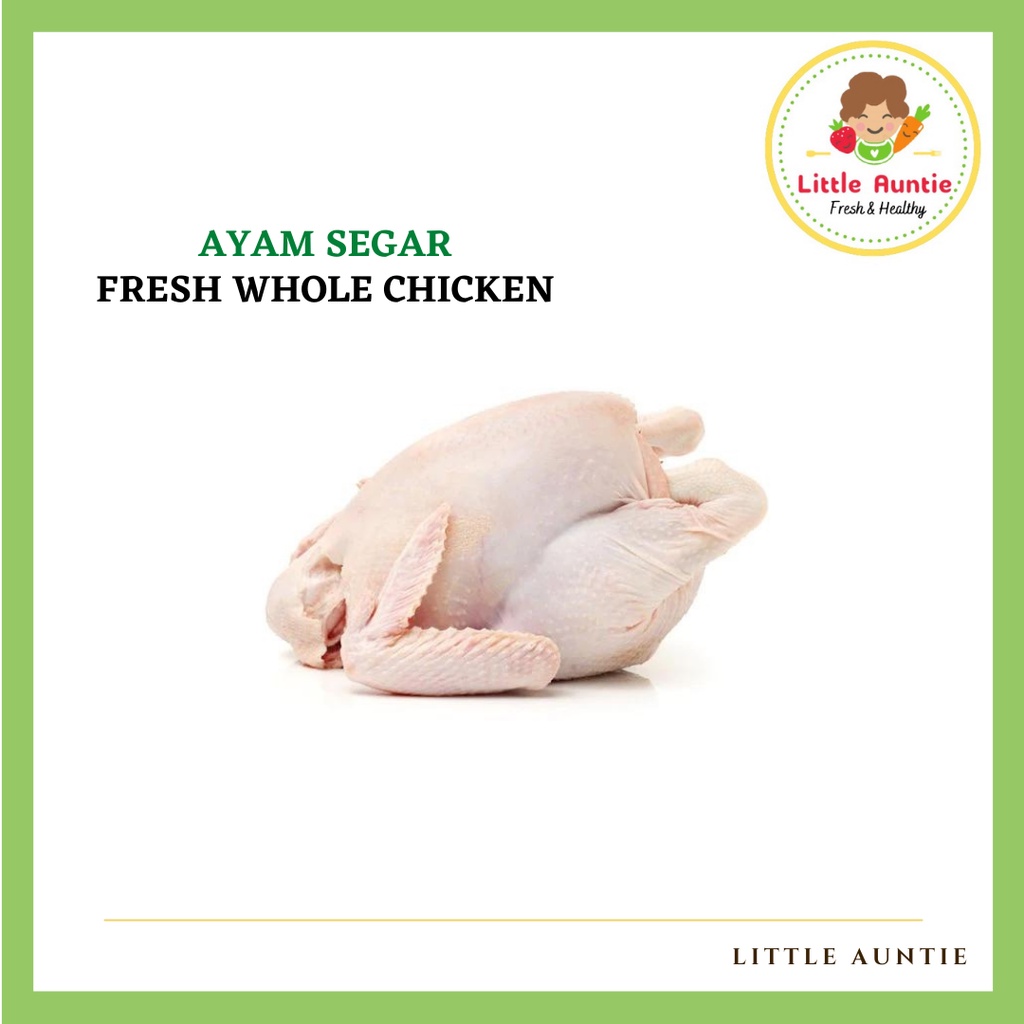 Ayam Segar 新鲜全鸡 Fresh Whole Chicken (1.8kg± - 2kg±) | Shopee Malaysia