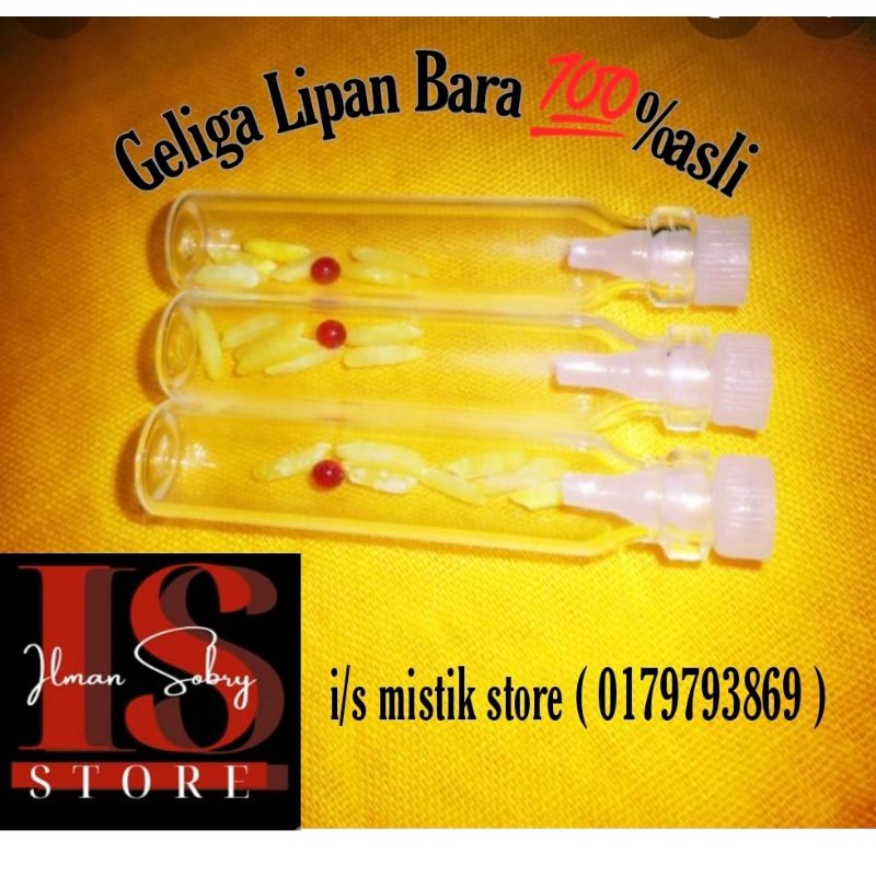 Geliga buntat lipan (asli) | Shopee Malaysia