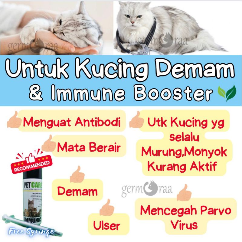 KUCING DEMAM MONYOK MURUNG IMMUNE BOOSTER FOR PET CAT FEVER STRESS ...