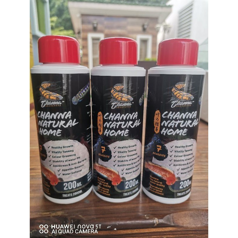 Ubat Kesihatan Ikan Channa- Snakehead Channa Natural Home 200ml ...
