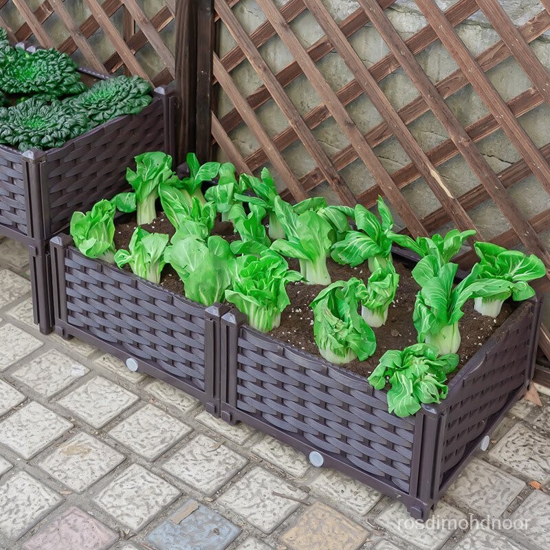 Get gifts/HY-6/Tian Tian Green Family Balcony Planting Basin ...